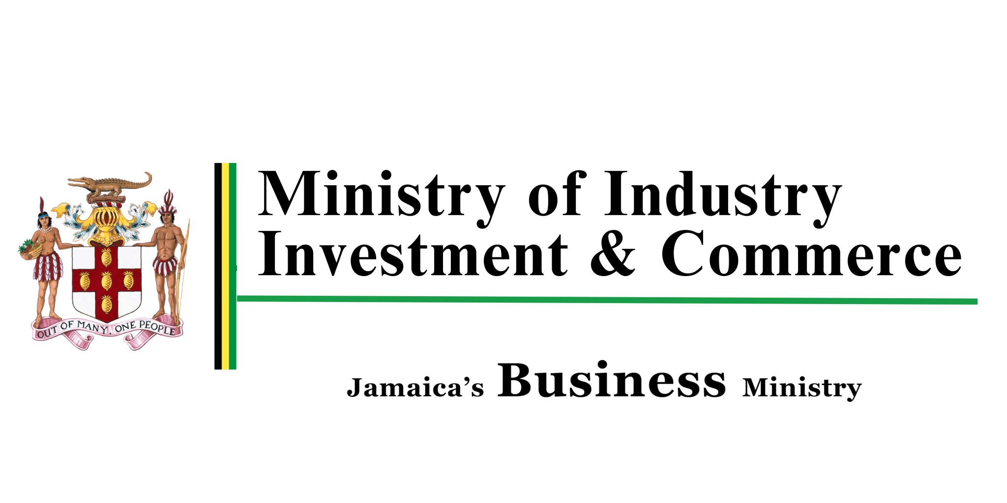 Digital Jamaica Project – Digital Transformation | Digitisation ...