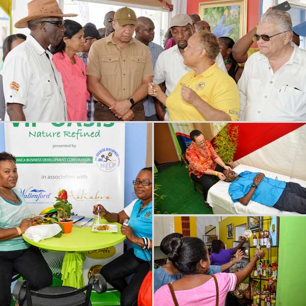 MICAF/JBDC VIP Oasis wins at Denbigh ‘17 | JBDC