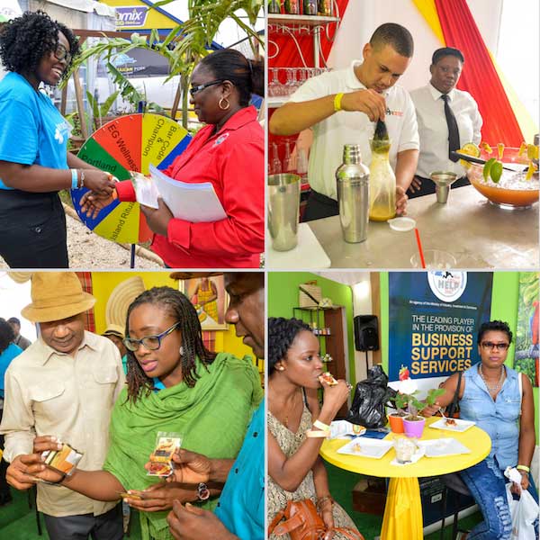 MICAF/JBDC VIP Oasis wins at Denbigh ‘17 | JBDC